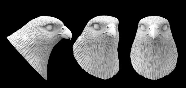 3d raven head model