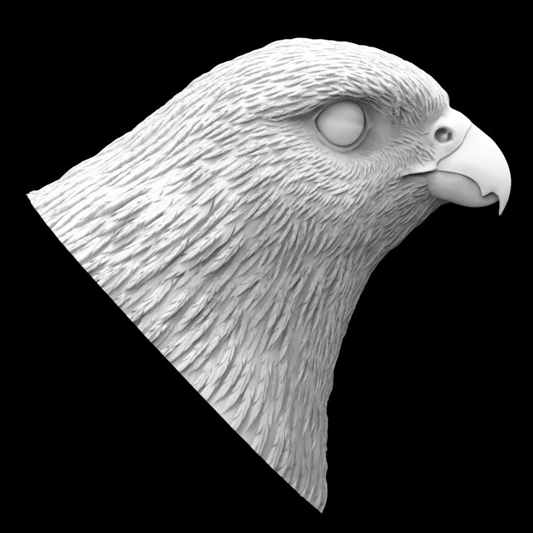 3D Falcon - TurboSquid 1194526