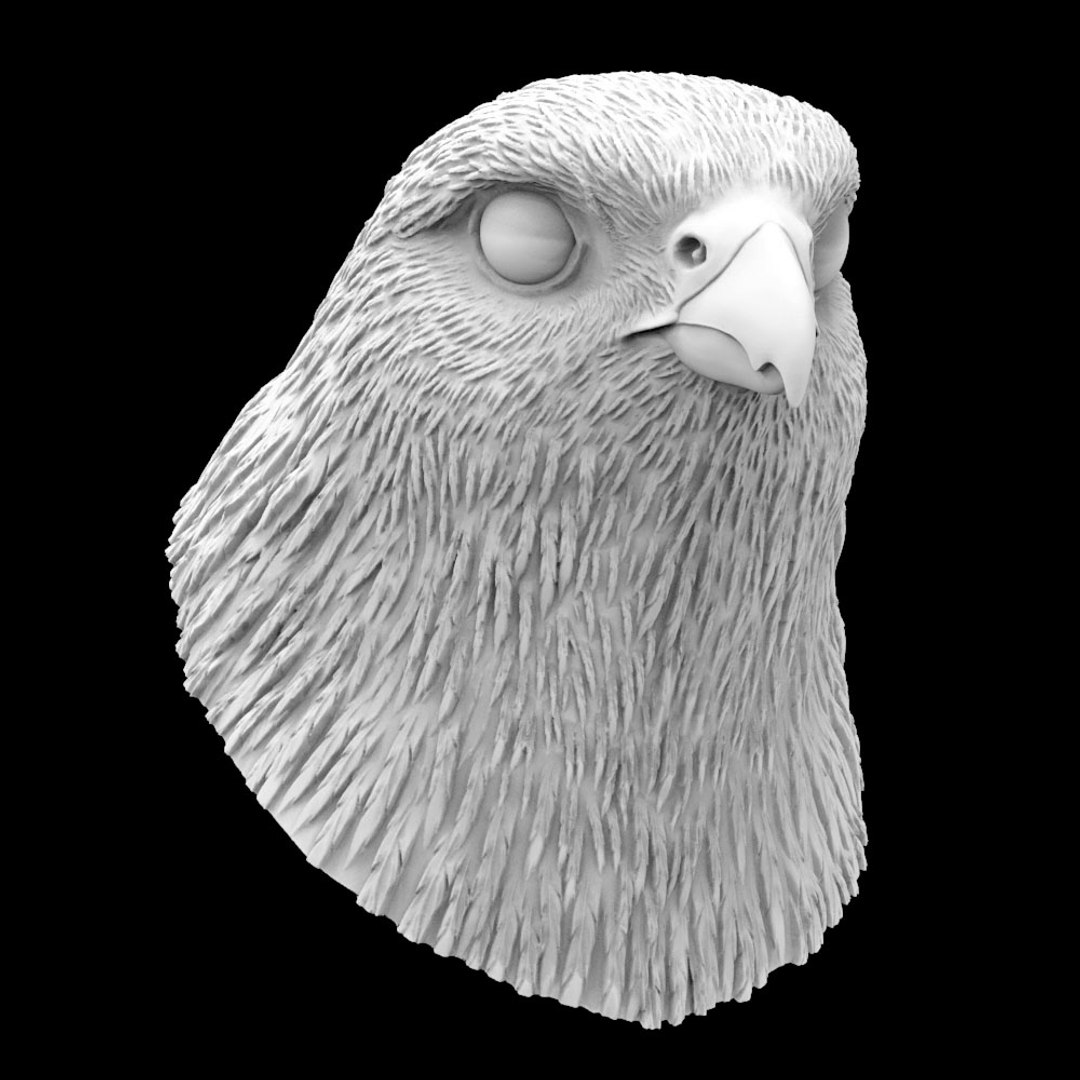 3D Falcon - TurboSquid 1194526