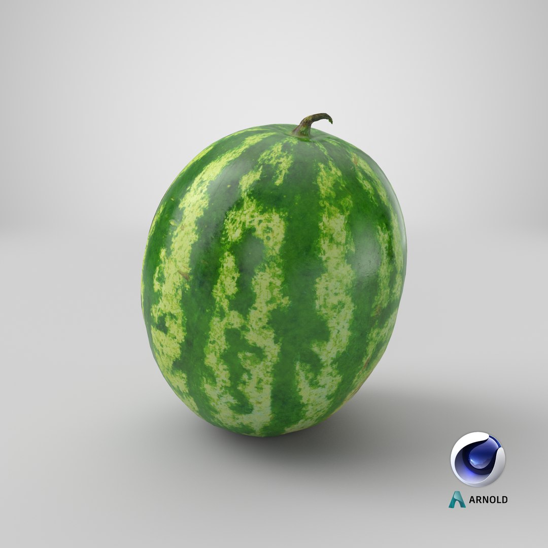 3D Model Watermelon 02 - TurboSquid 1470184