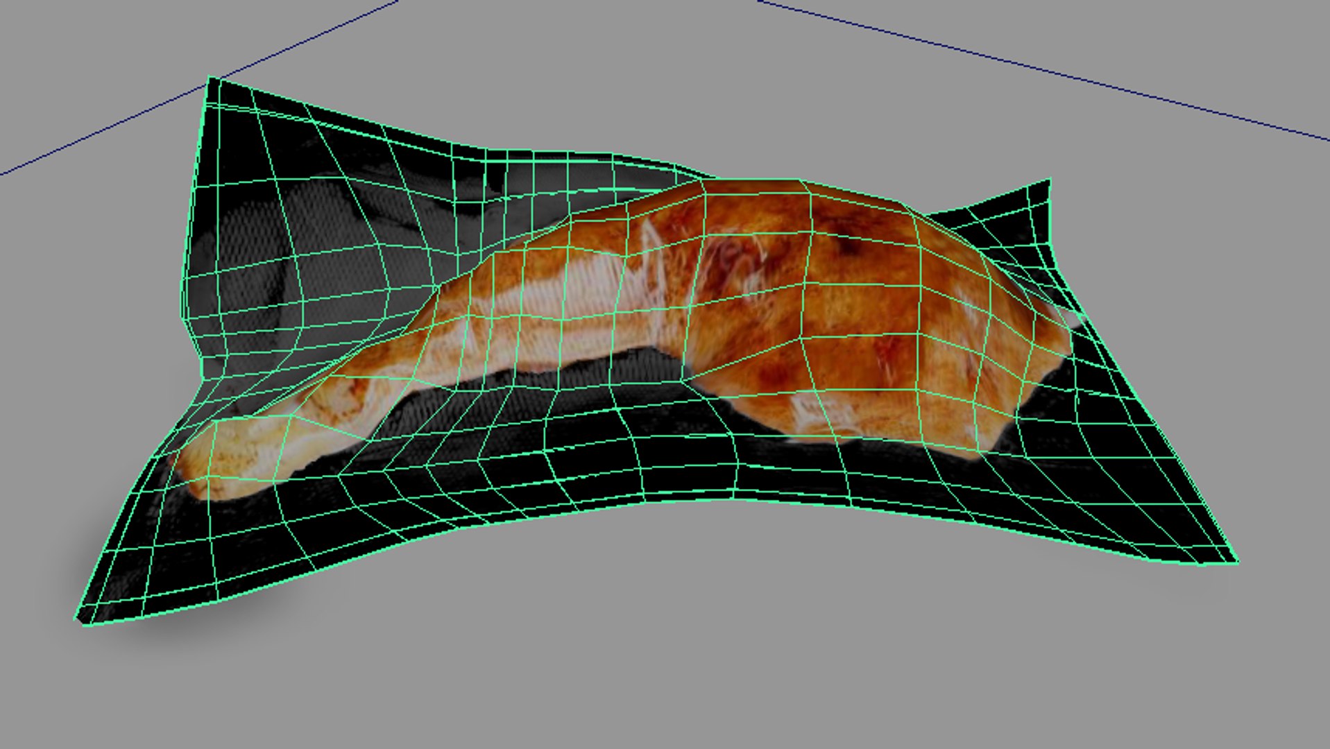 Food Meat 3D Model - TurboSquid 1564761