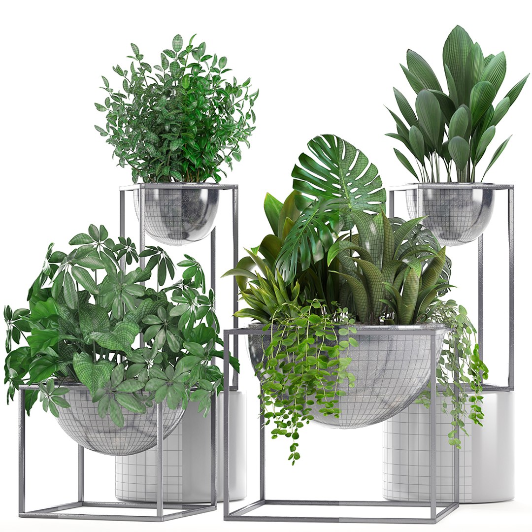 Ornamental plants exotic 3D model - TurboSquid 1329142