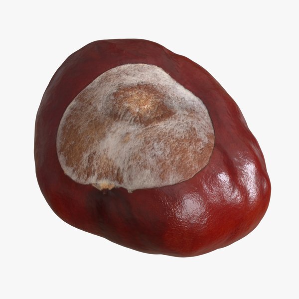 Chestnut 3D Models for Download | TurboSquid