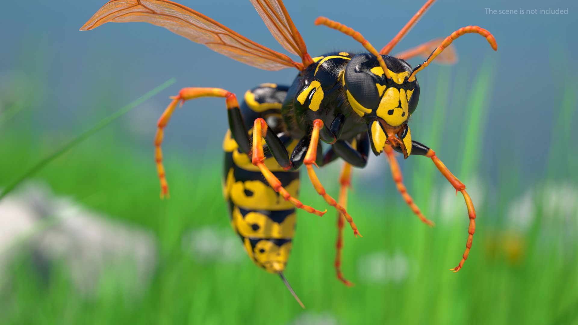 3D Wasp Attack Pose Fur - TurboSquid 1625234