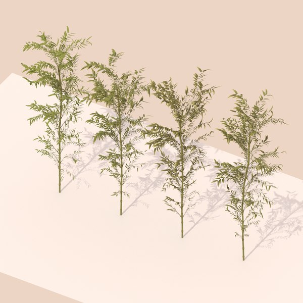 Free 3D Bamboo Models | TurboSquid