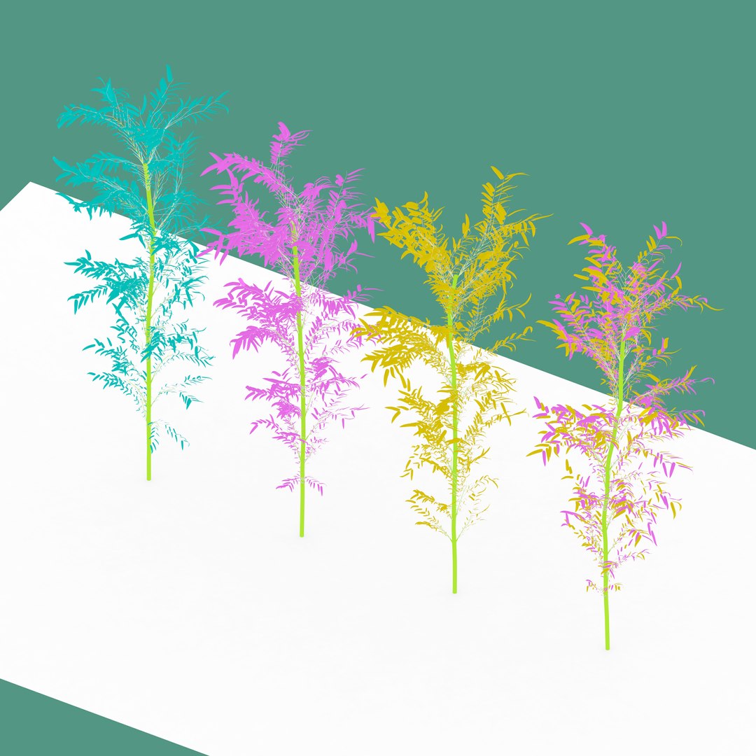Free Bamboo Plant 3D - TurboSquid 1758053