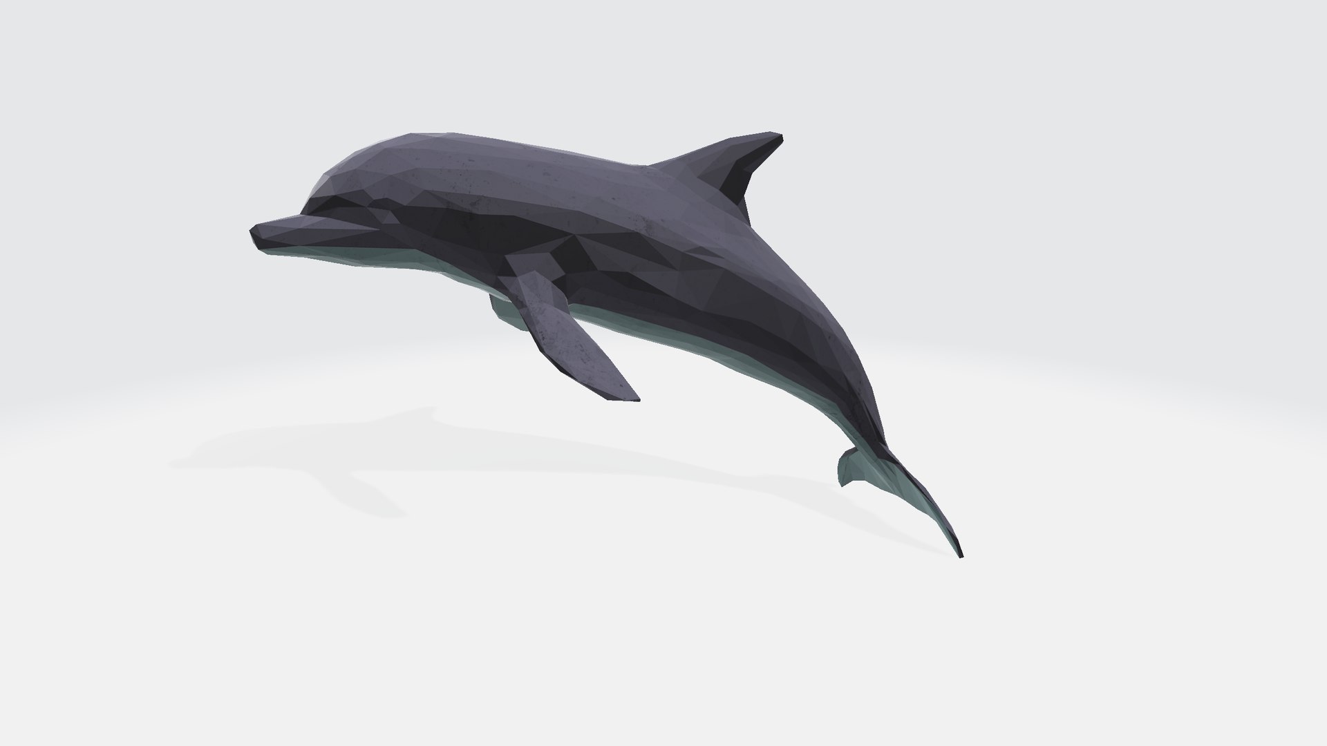 Dolphin - Low Poly 3D Model - TurboSquid 2407625