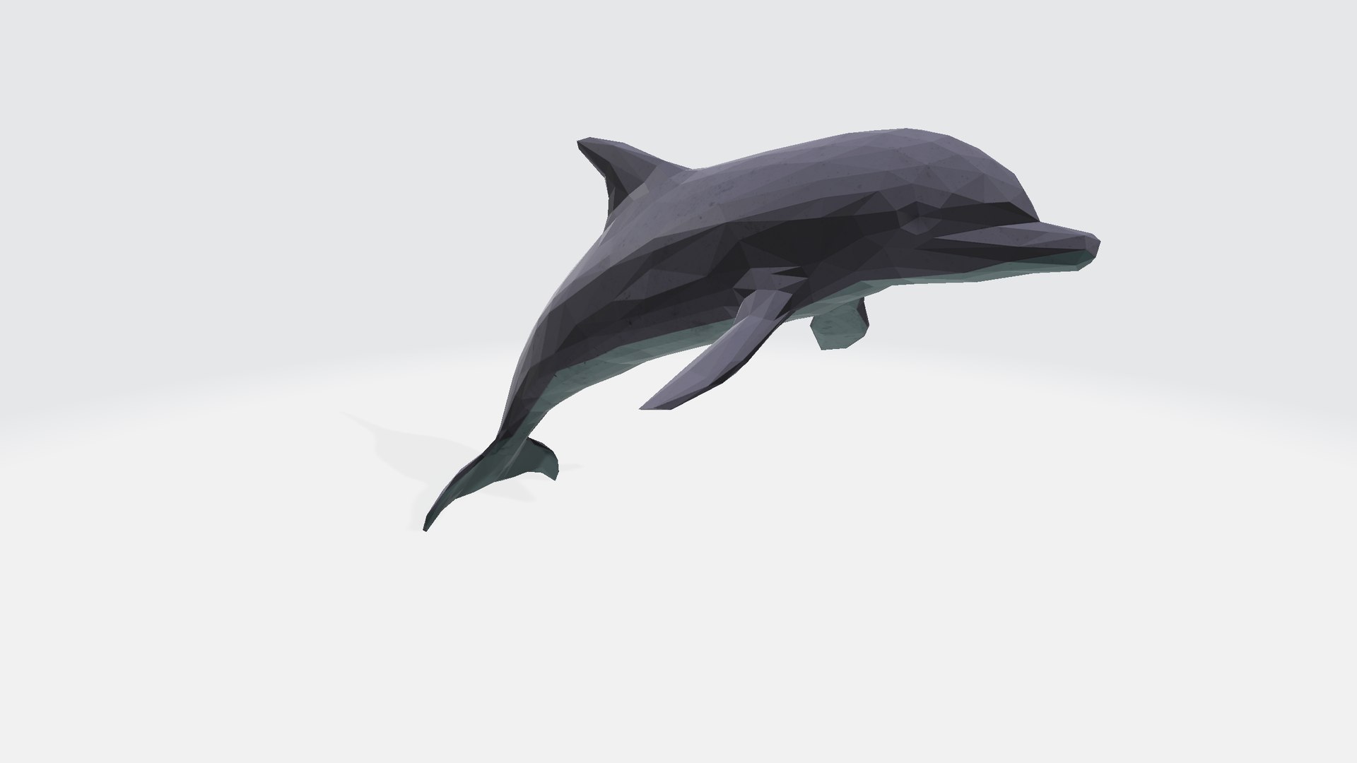 Dolphin - Low Poly 3D Model - TurboSquid 2407625