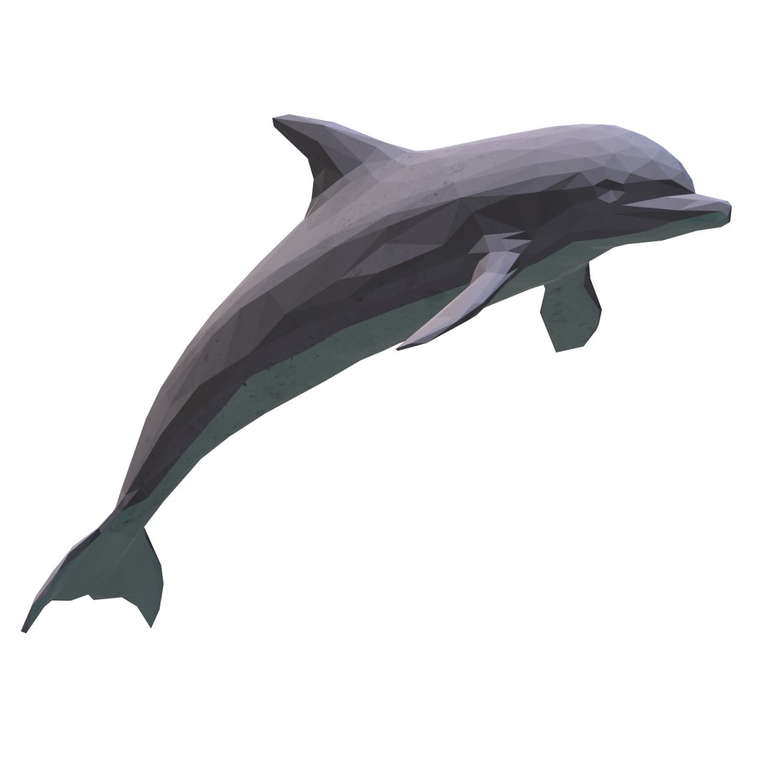 Dolphin - Low Poly 3D Model - TurboSquid 2407625