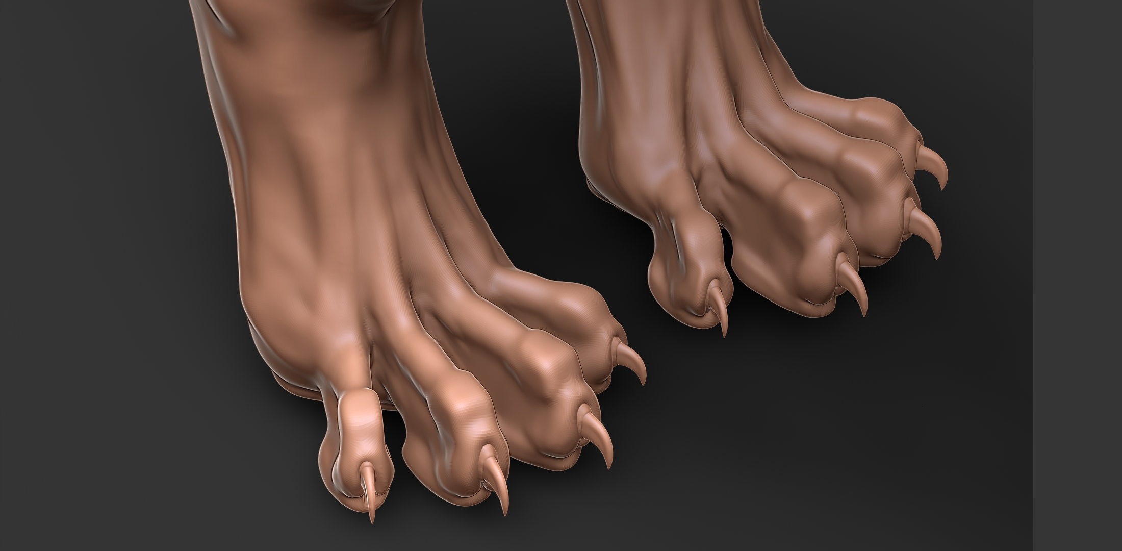 Snow Leopard Primary Forms Zbrush Sculpt 3D - TurboSquid 1818686