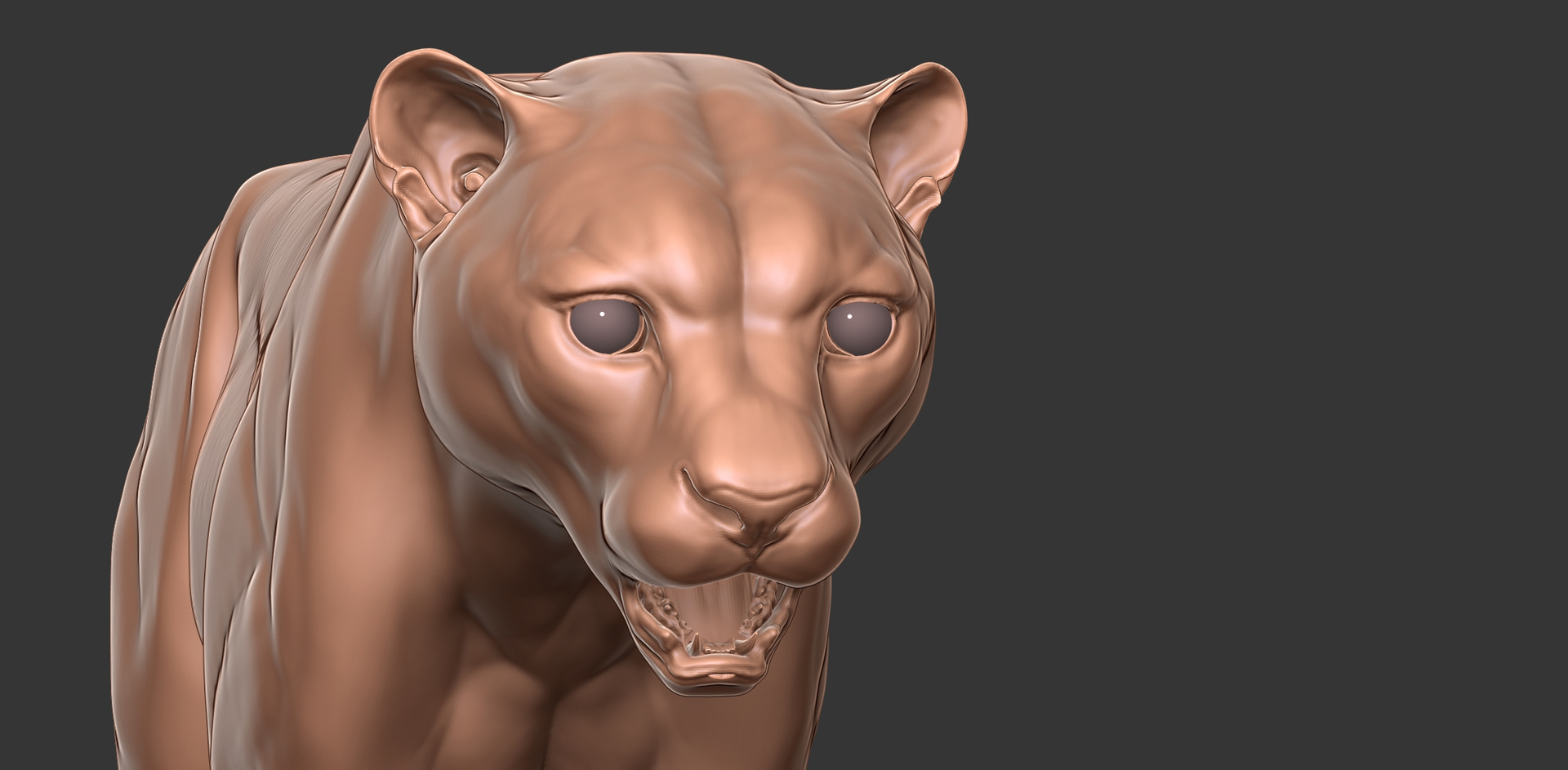 Snow Leopard Primary Forms Zbrush Sculpt 3D - TurboSquid 1818686