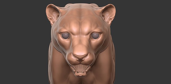 Snow Leopard Primary Forms Zbrush Sculpt 3D - TurboSquid 1818686