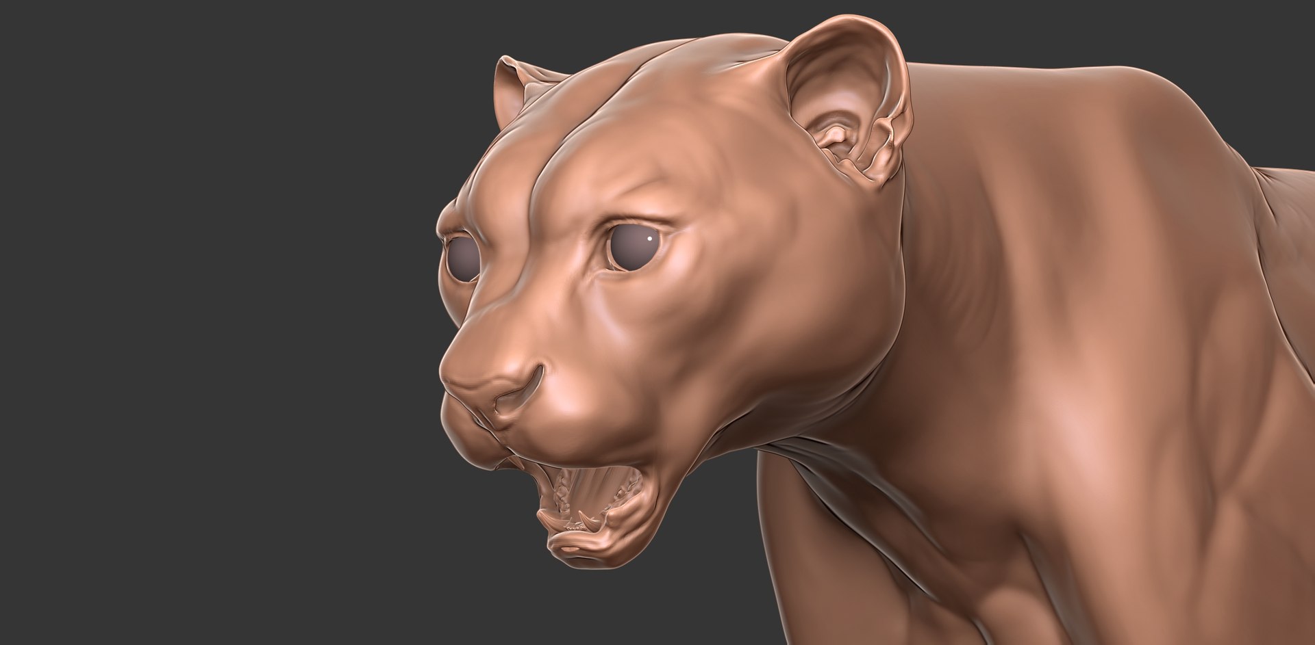 Snow Leopard Primary Forms Zbrush Sculpt 3D - TurboSquid 1818686