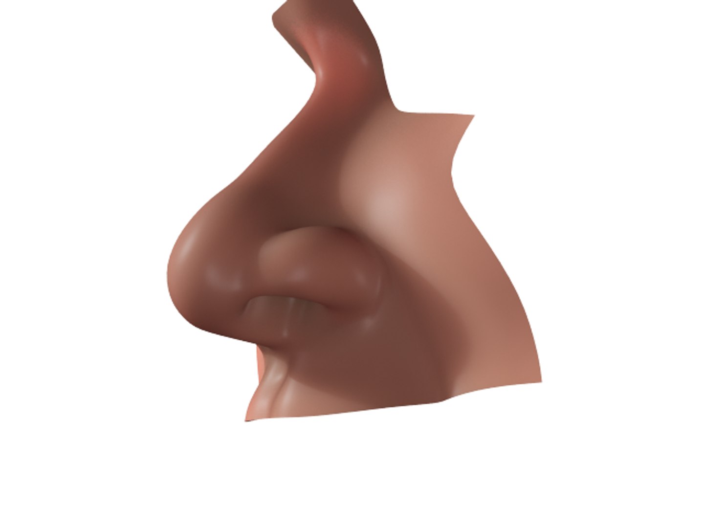 Nose Realistic Human 3d Model