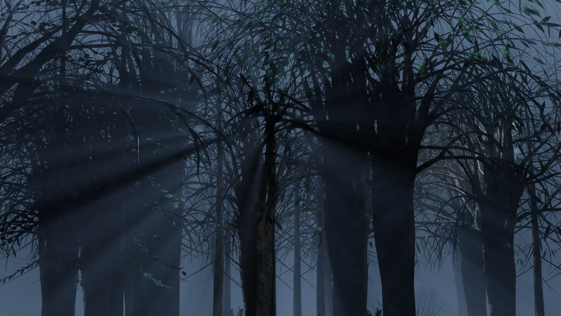 Dark Forest Animation Model - TurboSquid 1977045