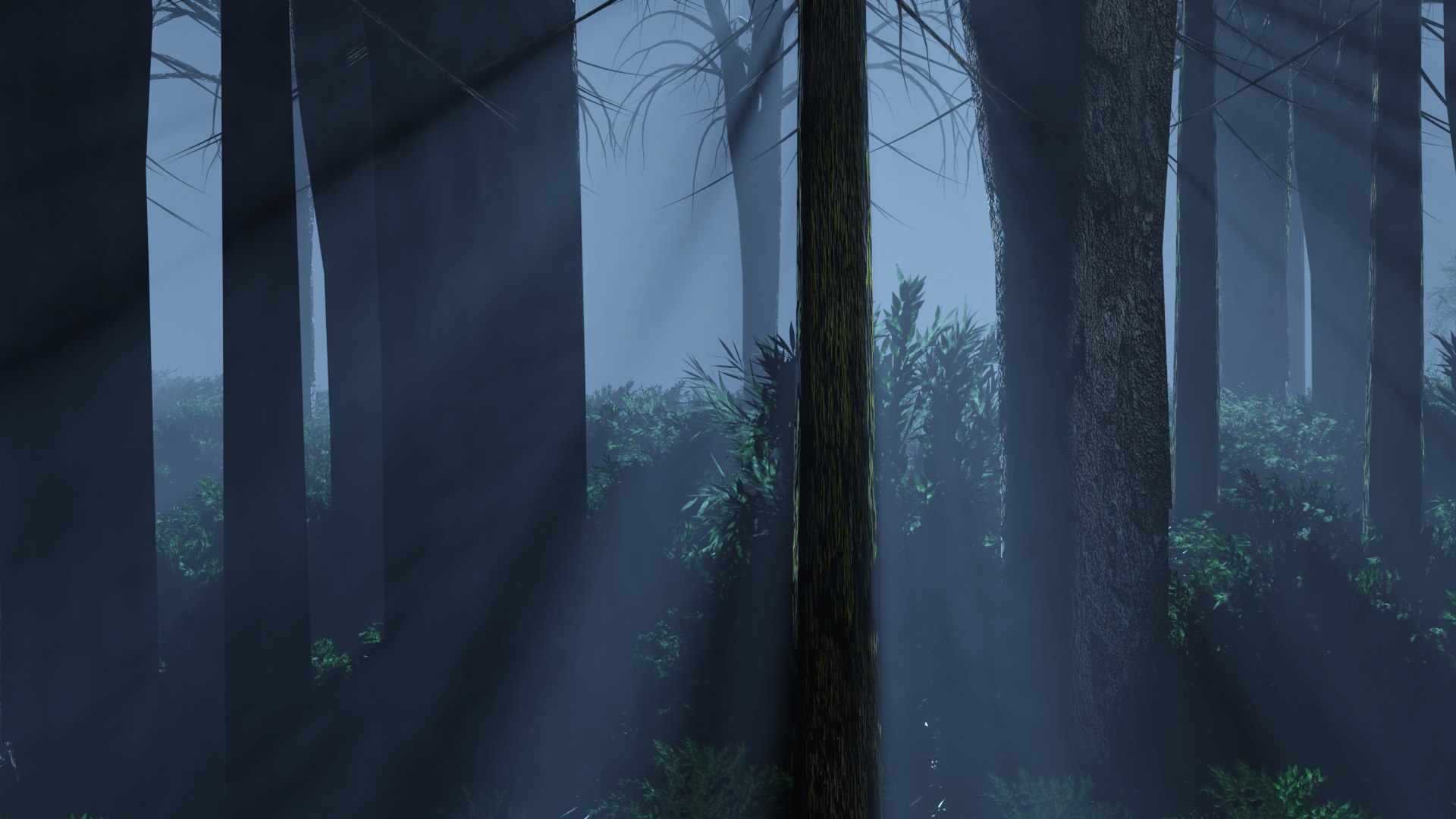 Dark Forest Animation Model - TurboSquid 1977045