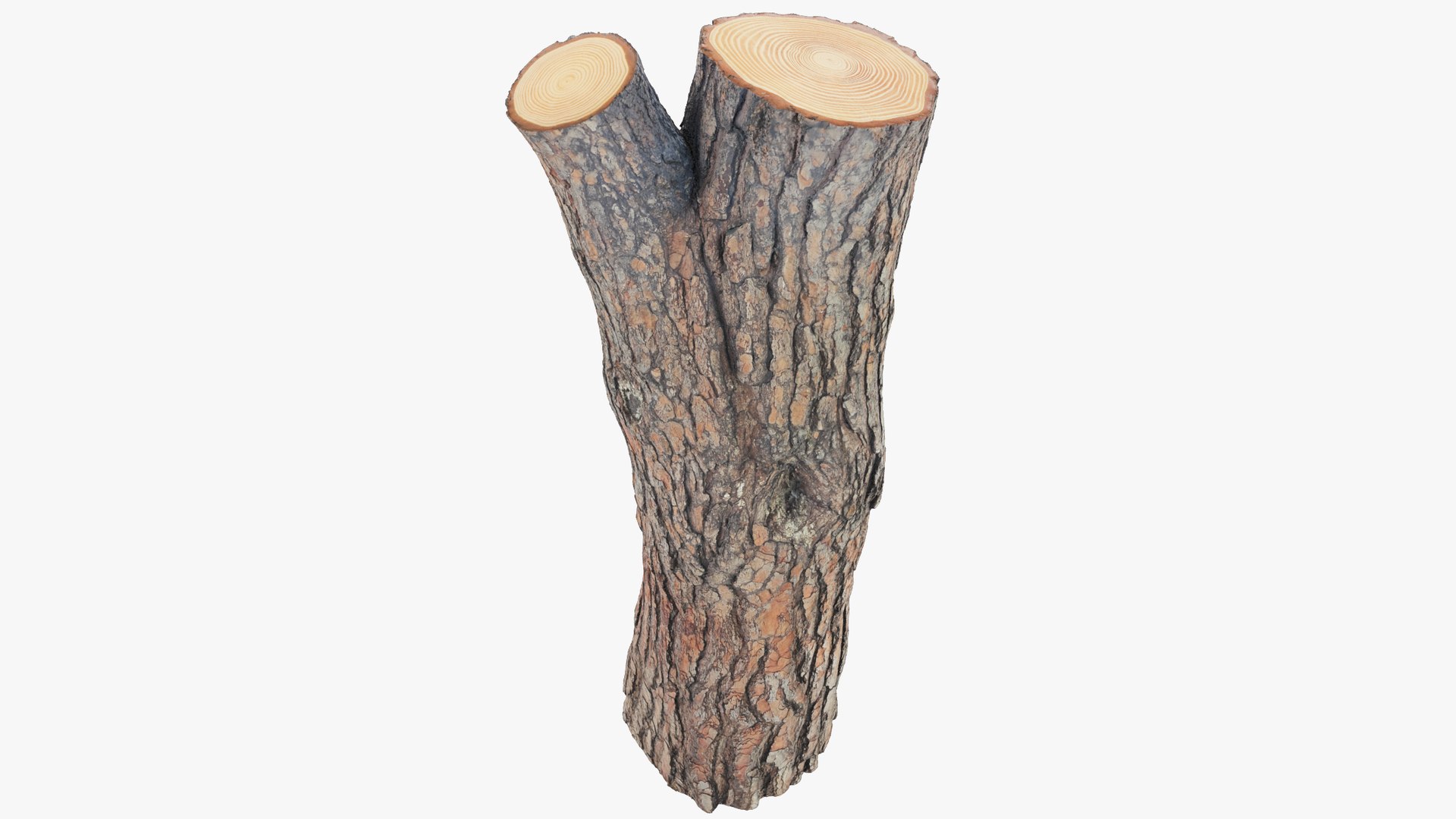 Logs Collection V5 model - TurboSquid 2112174