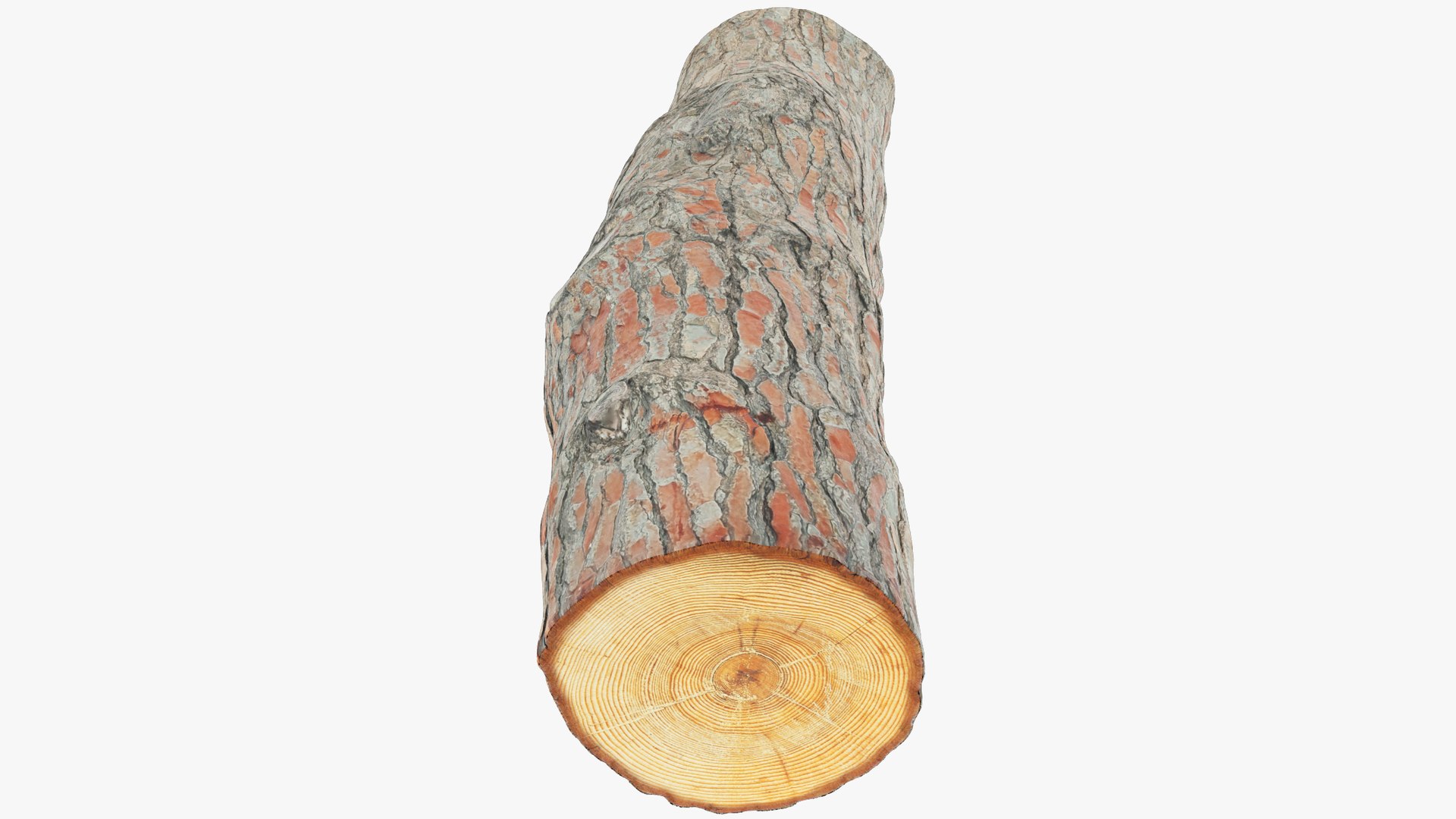 Logs Collection V5 model - TurboSquid 2112174