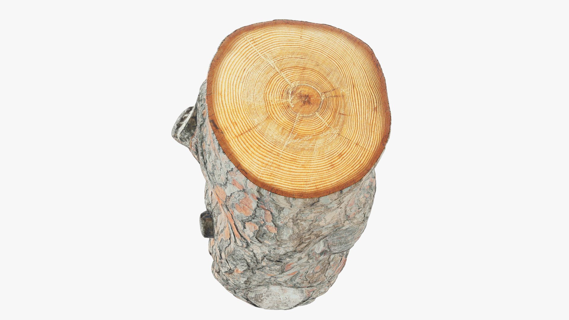 Logs Collection V5 model - TurboSquid 2112174