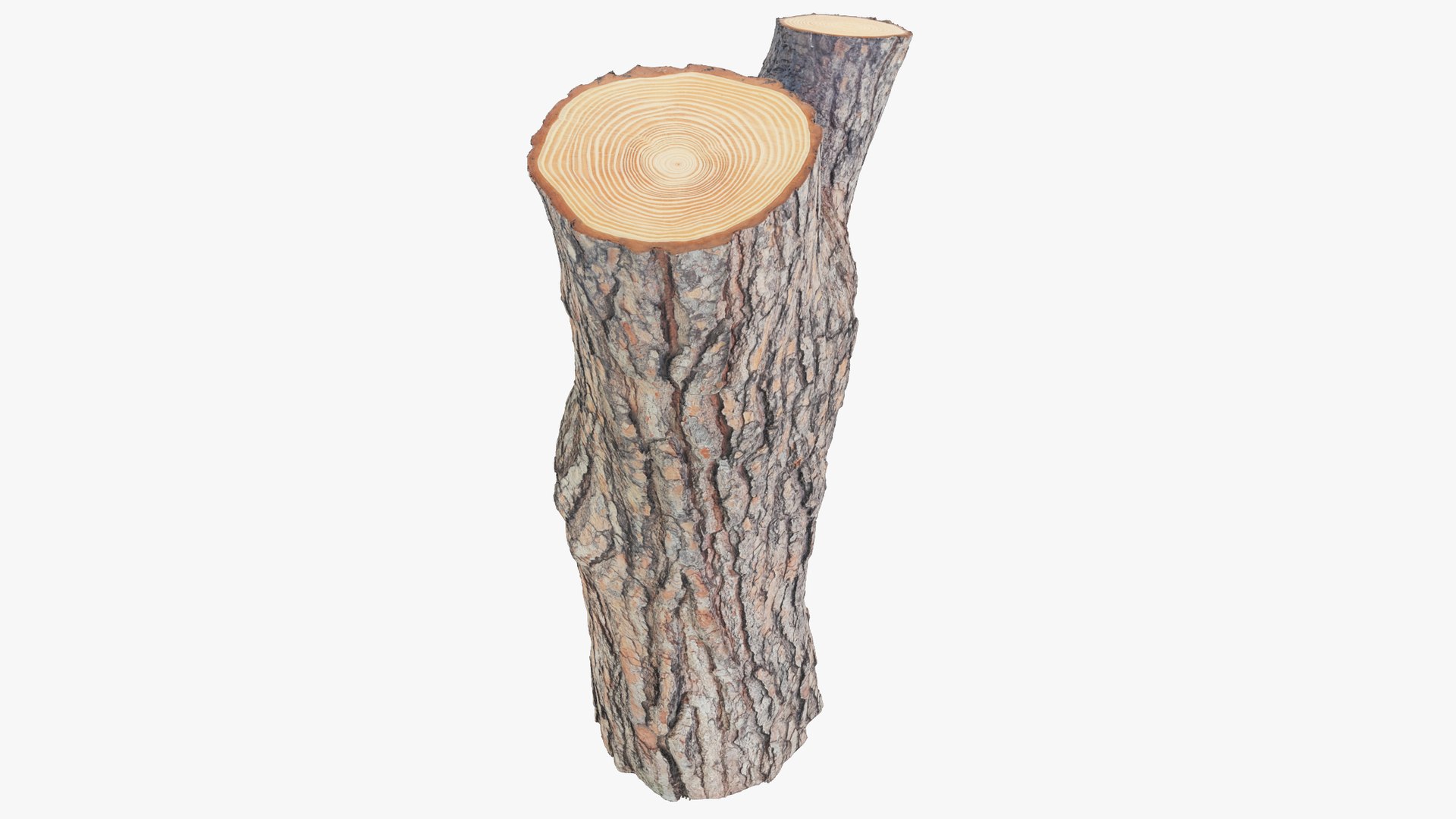Logs Collection V5 model - TurboSquid 2112174