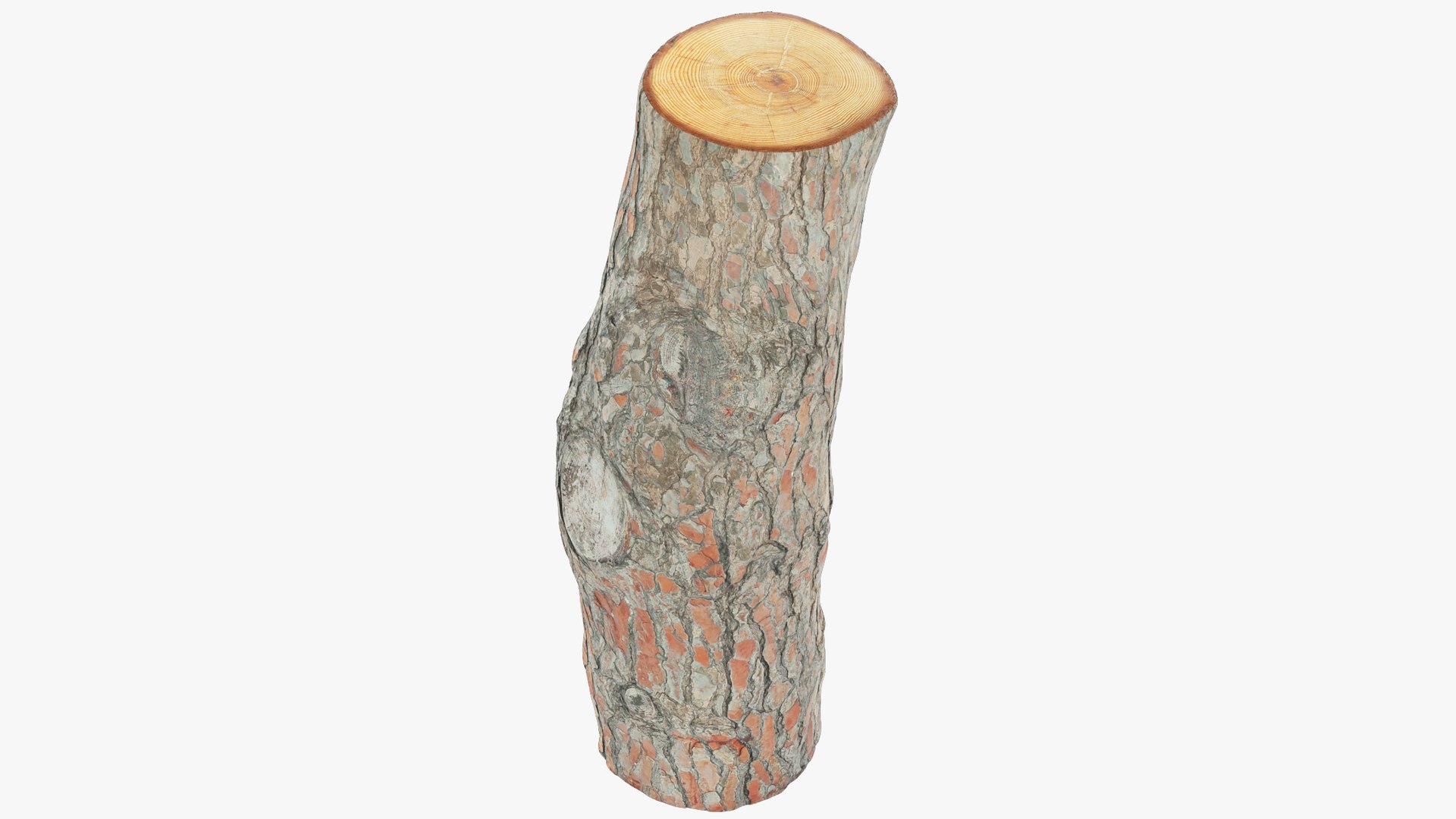 Logs Collection V5 model - TurboSquid 2112174