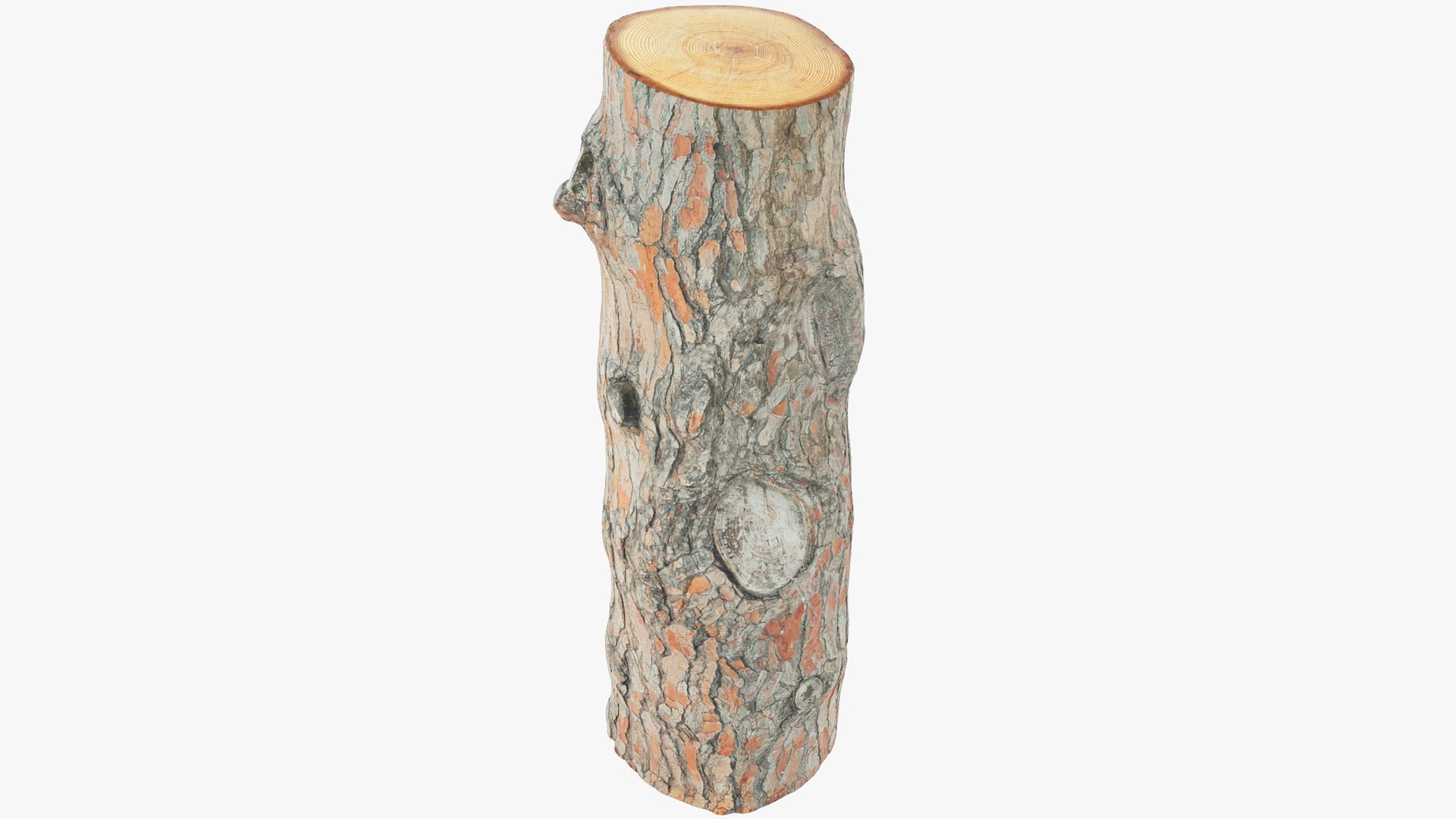 Logs Collection V5 model - TurboSquid 2112174