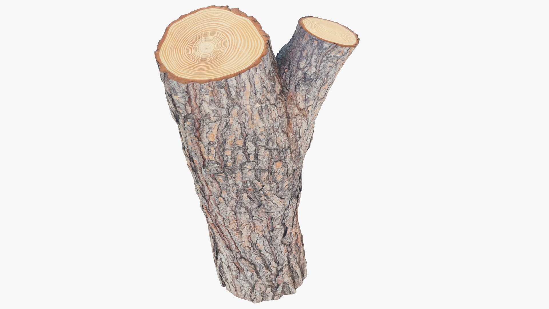 Logs Collection V5 model - TurboSquid 2112174