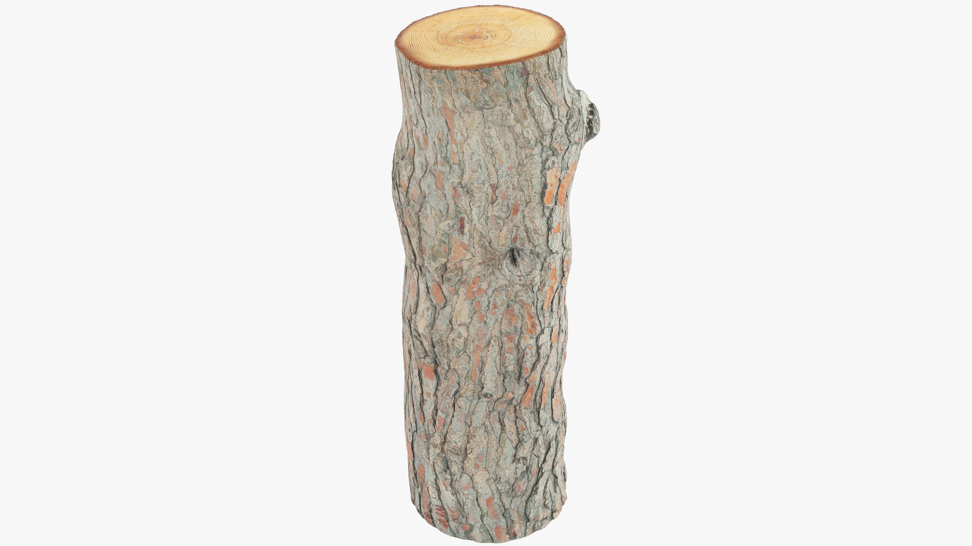 Logs Collection V5 model - TurboSquid 2112174