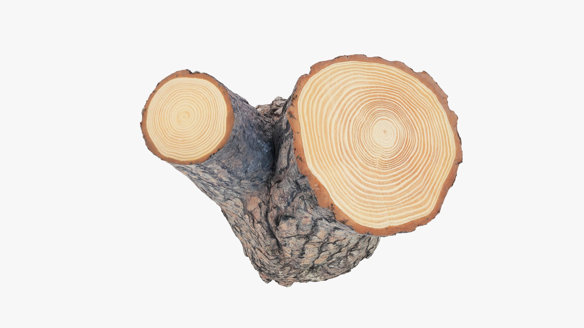Logs Collection V5 model - TurboSquid 2112174