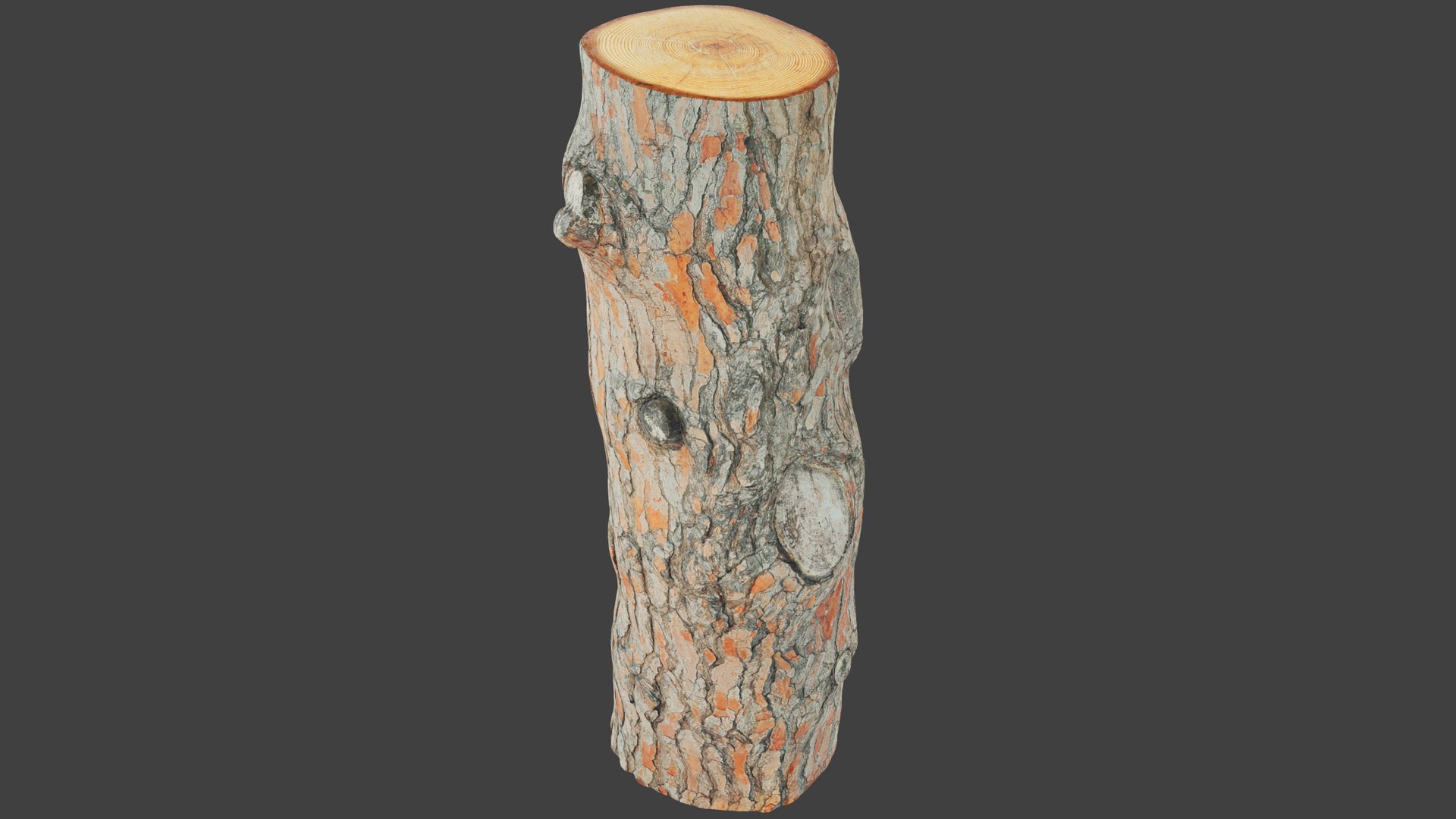Logs Collection V5 Model - TurboSquid 2112174