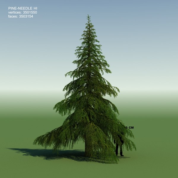 Realistic conifer pine tree forest 3D model - TurboSquid 1459979