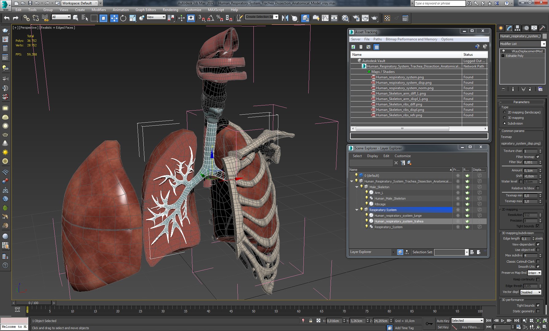 3D Human Respiratory Trachea Dissection Model - TurboSquid 1209642