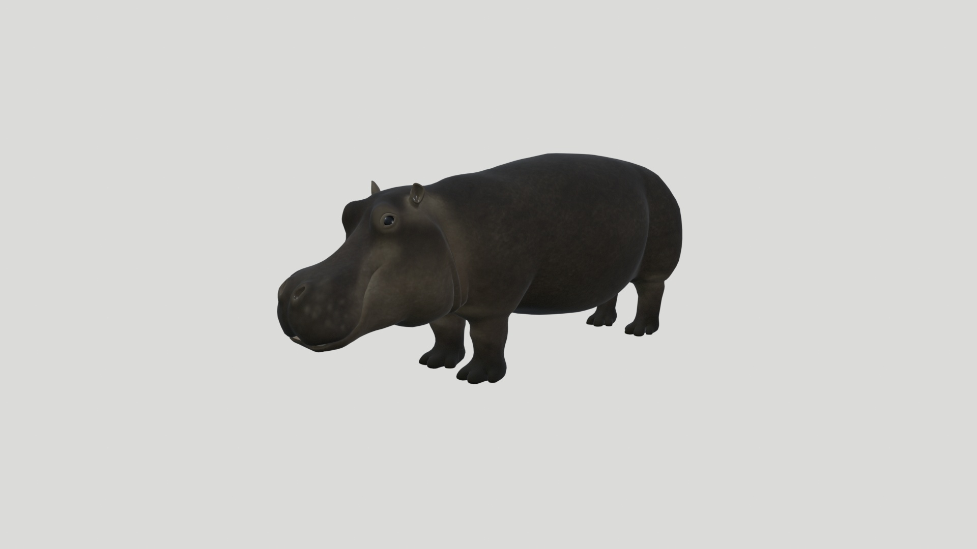 3D Hippopotamus - Animated - TurboSquid 2110179