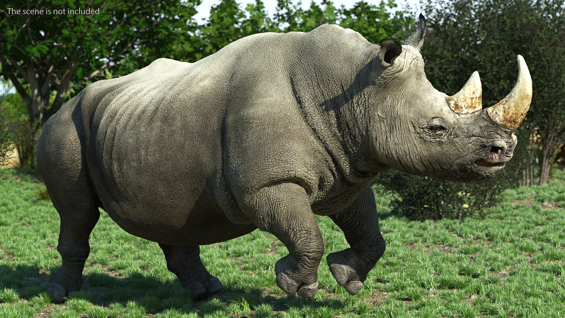 Rhino Running Pose 3D Model - TurboSquid 1675775