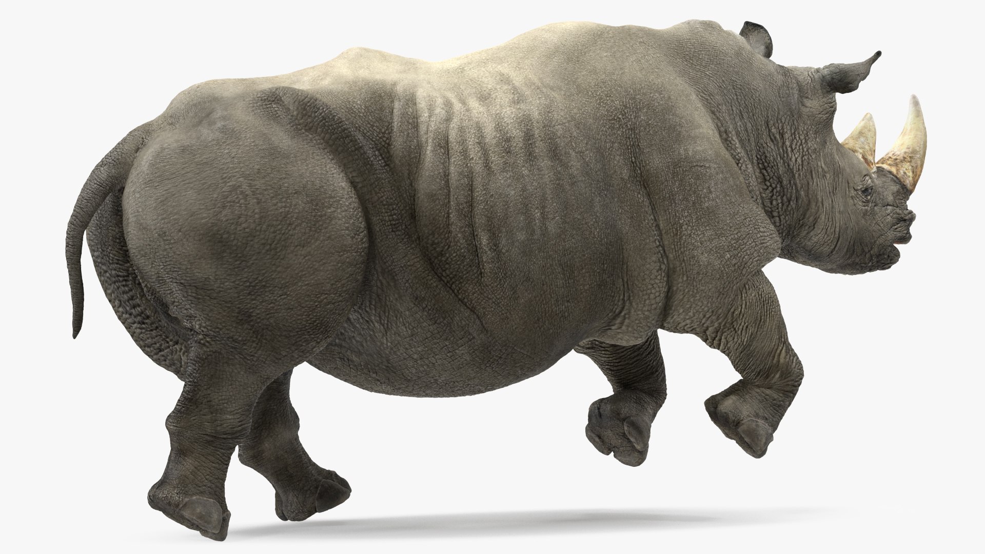 Rhino Running Pose 3D Model - TurboSquid 1675775