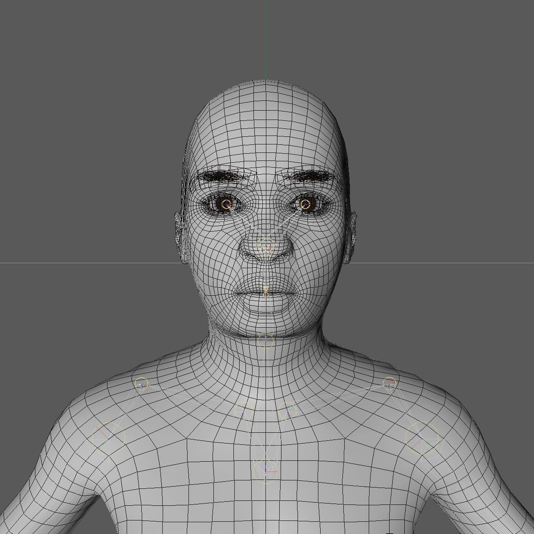 3d Base Mesh 10 Year