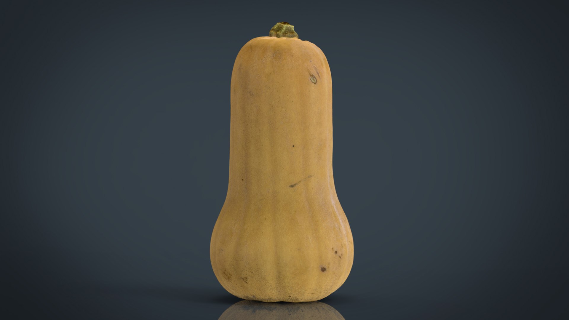 3d Model Pumpkin