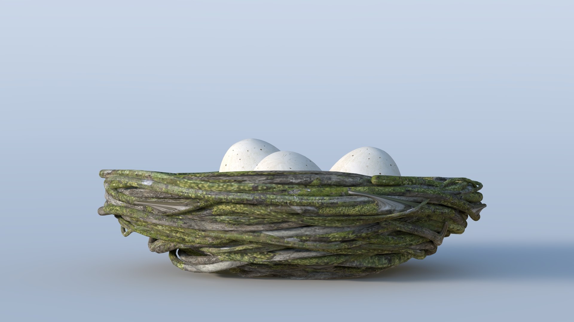 Bird S Nest 3D Model - TurboSquid 1211221