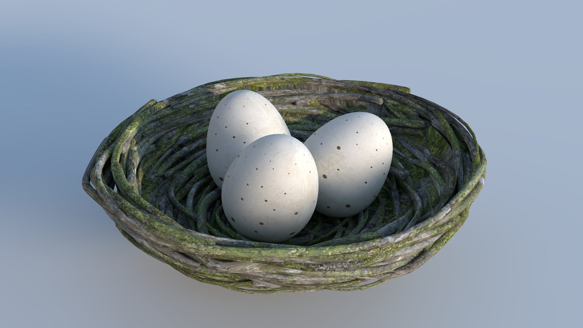 Bird S Nest 3D Model - TurboSquid 1211221
