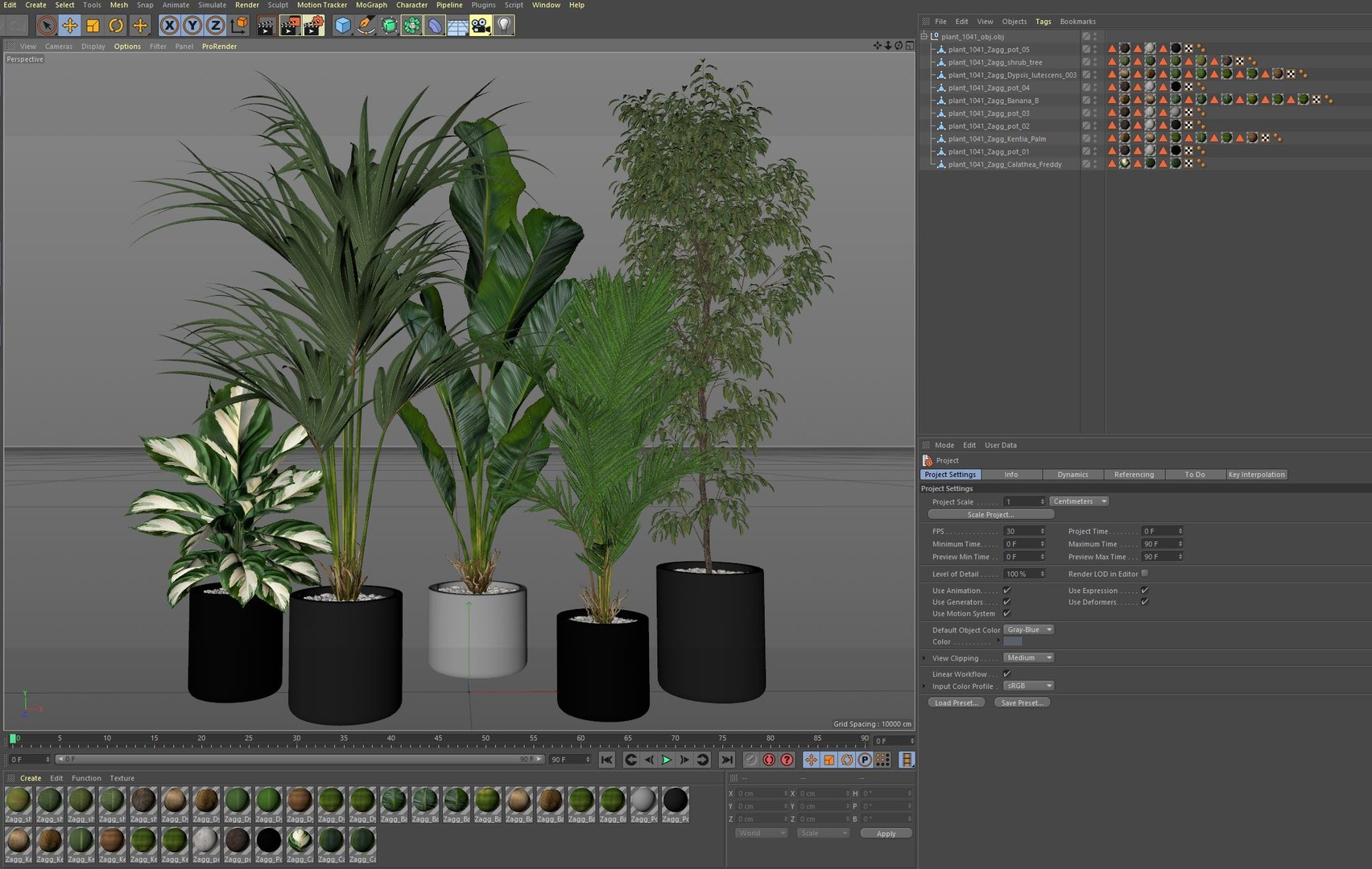 3D Model Plants Collection 1041 - TurboSquid 2180486
