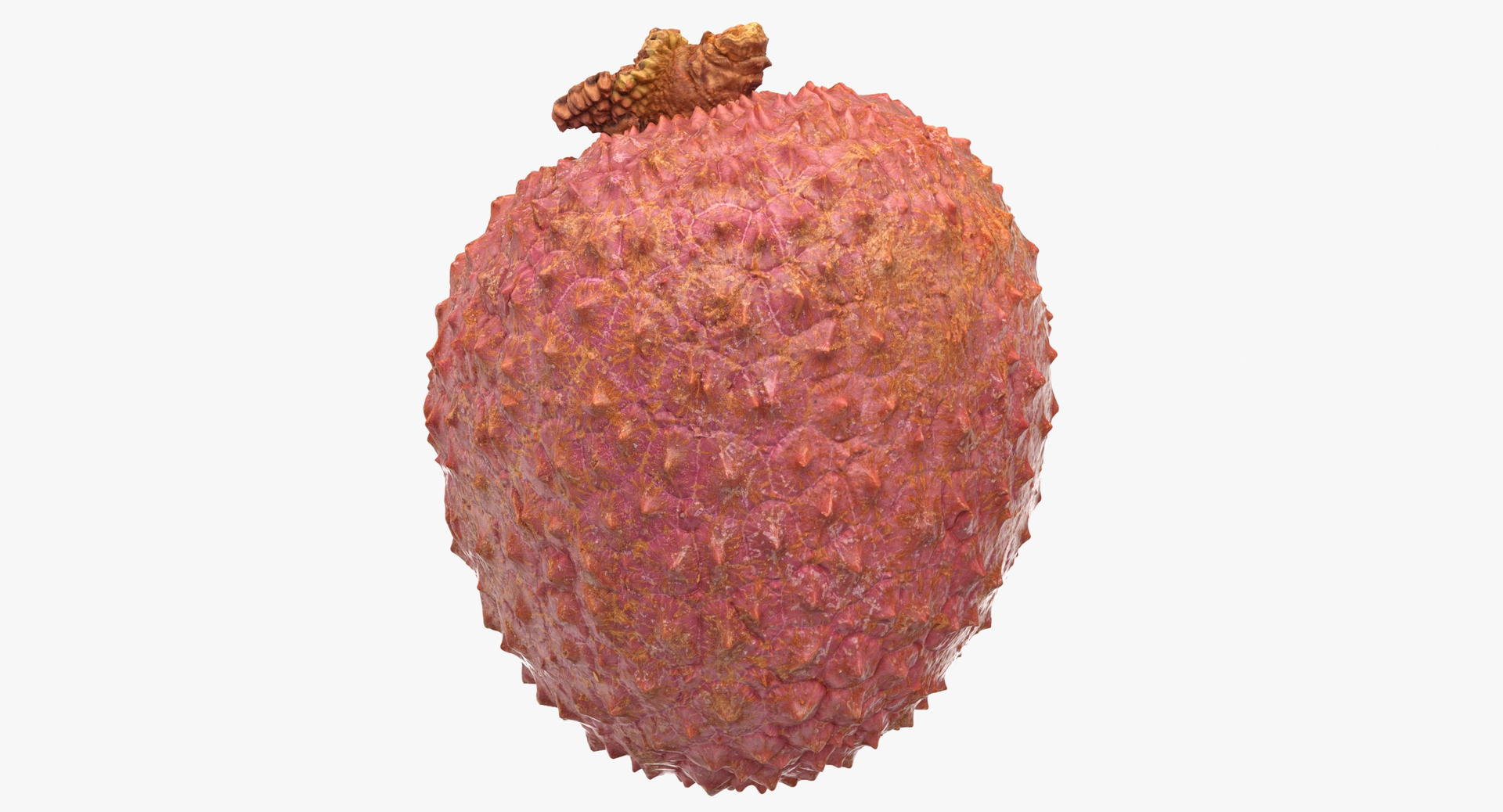 Lychee 02 3D model - TurboSquid 1518838