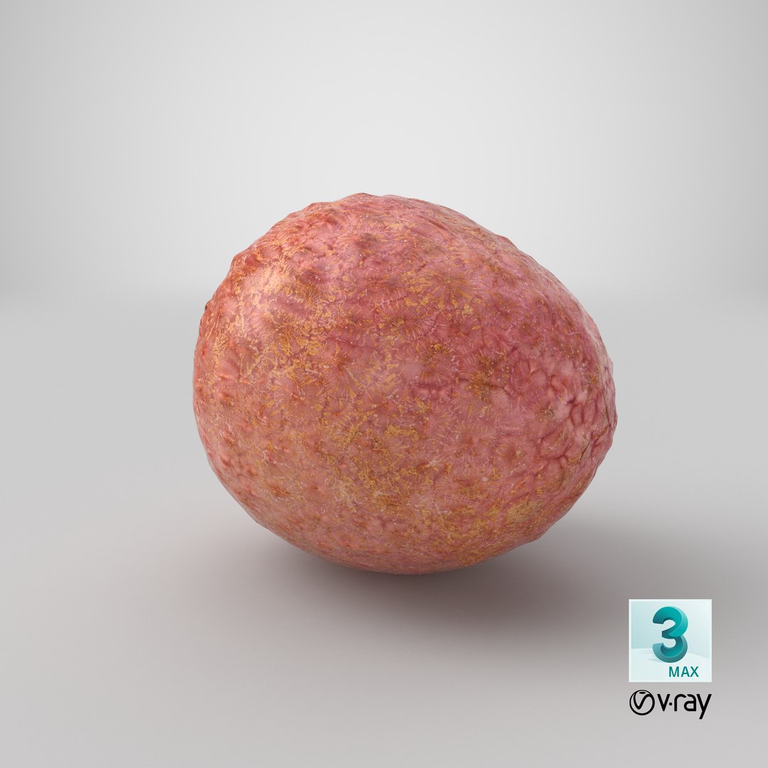 Lychee 02 3D model - TurboSquid 1518838