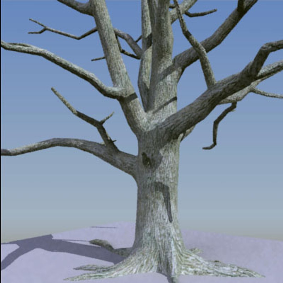 3d Model Tree Huge