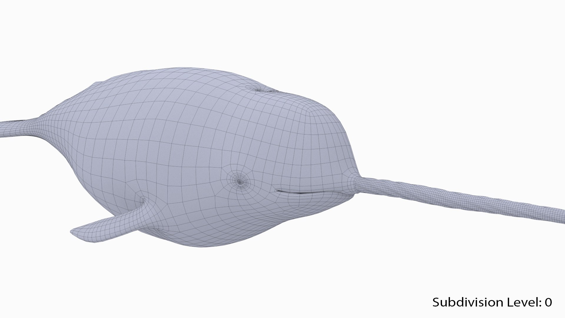 Narwhal Model - TurboSquid 2014061