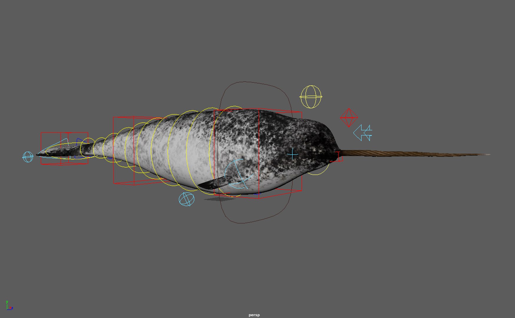 Narwhal Model - TurboSquid 2014061