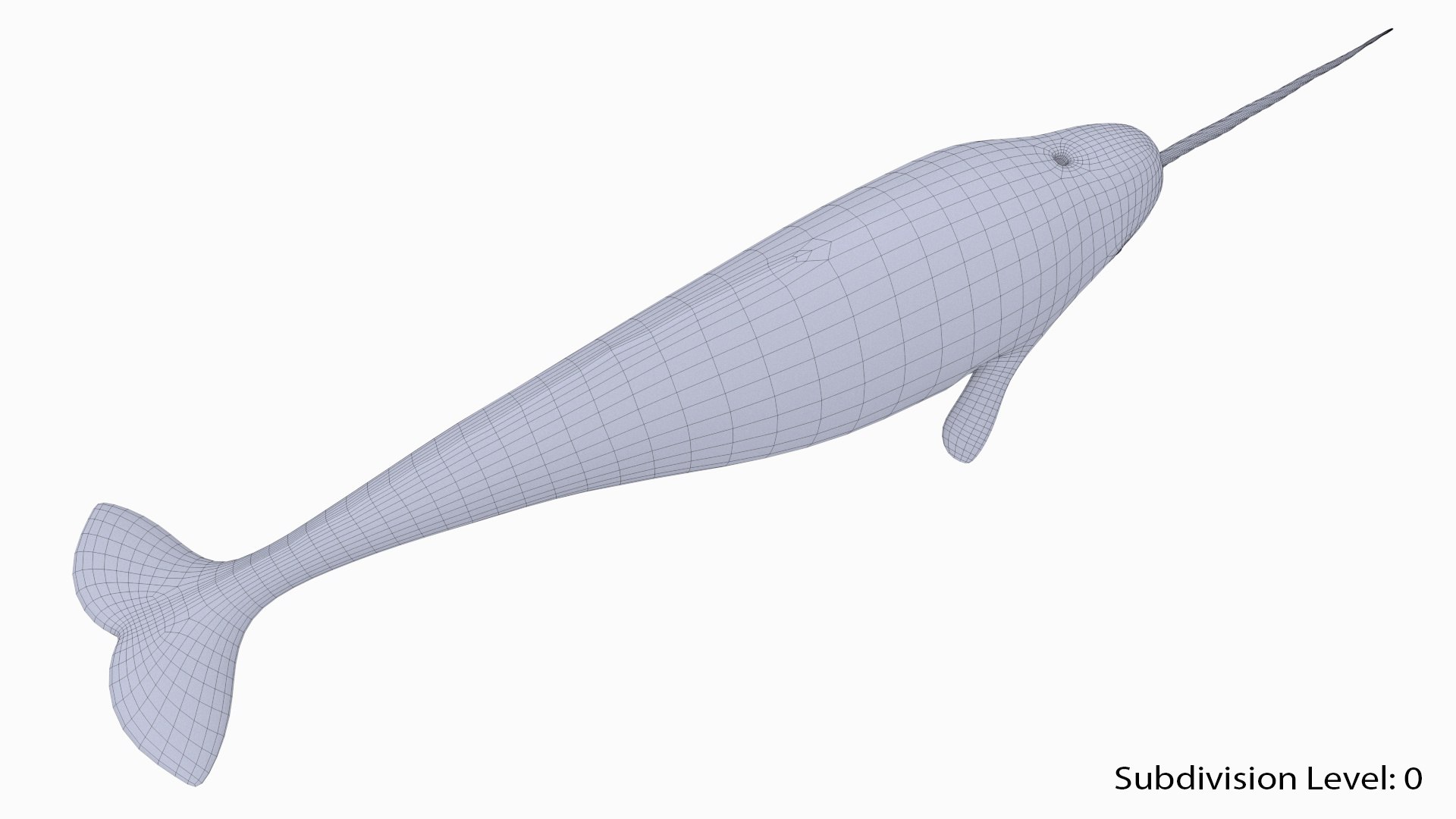 Narwhal Model - TurboSquid 2014061