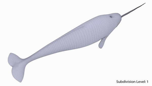modelo 3d Narval - TurboSquid 2014061