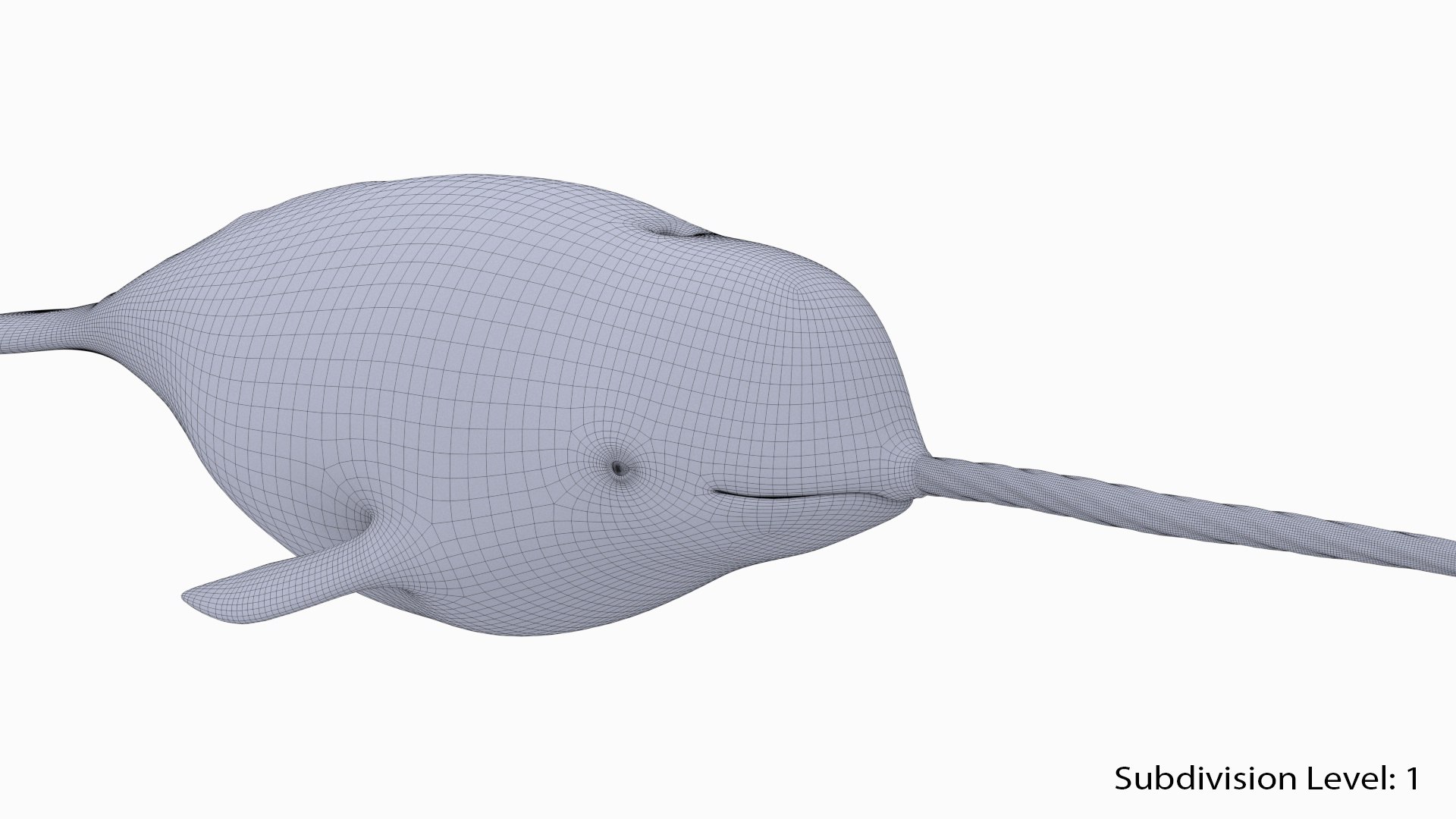 Narwhal Model - TurboSquid 2014061
