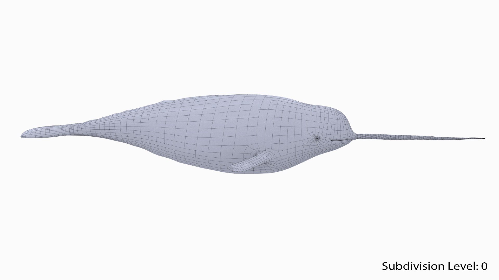 Narwhal Model - TurboSquid 2014061