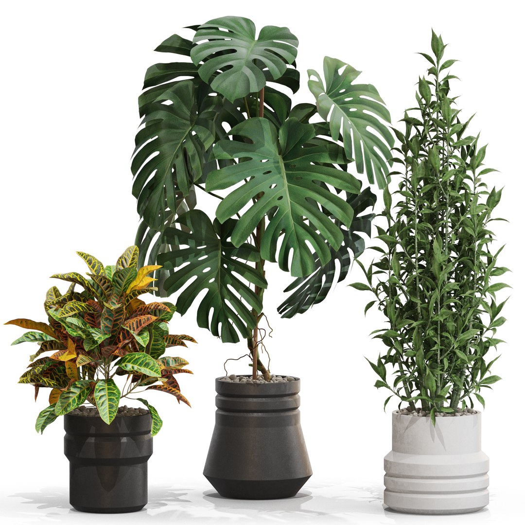 3D Plants Collection 721 Model - TurboSquid 1895100
